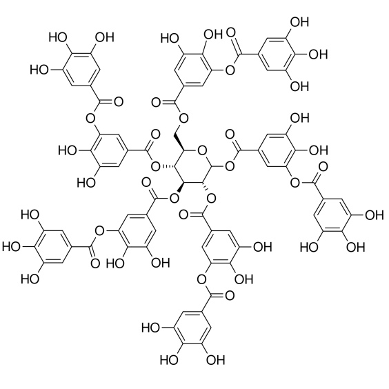 Tannins | The Naturopathic Herbalist